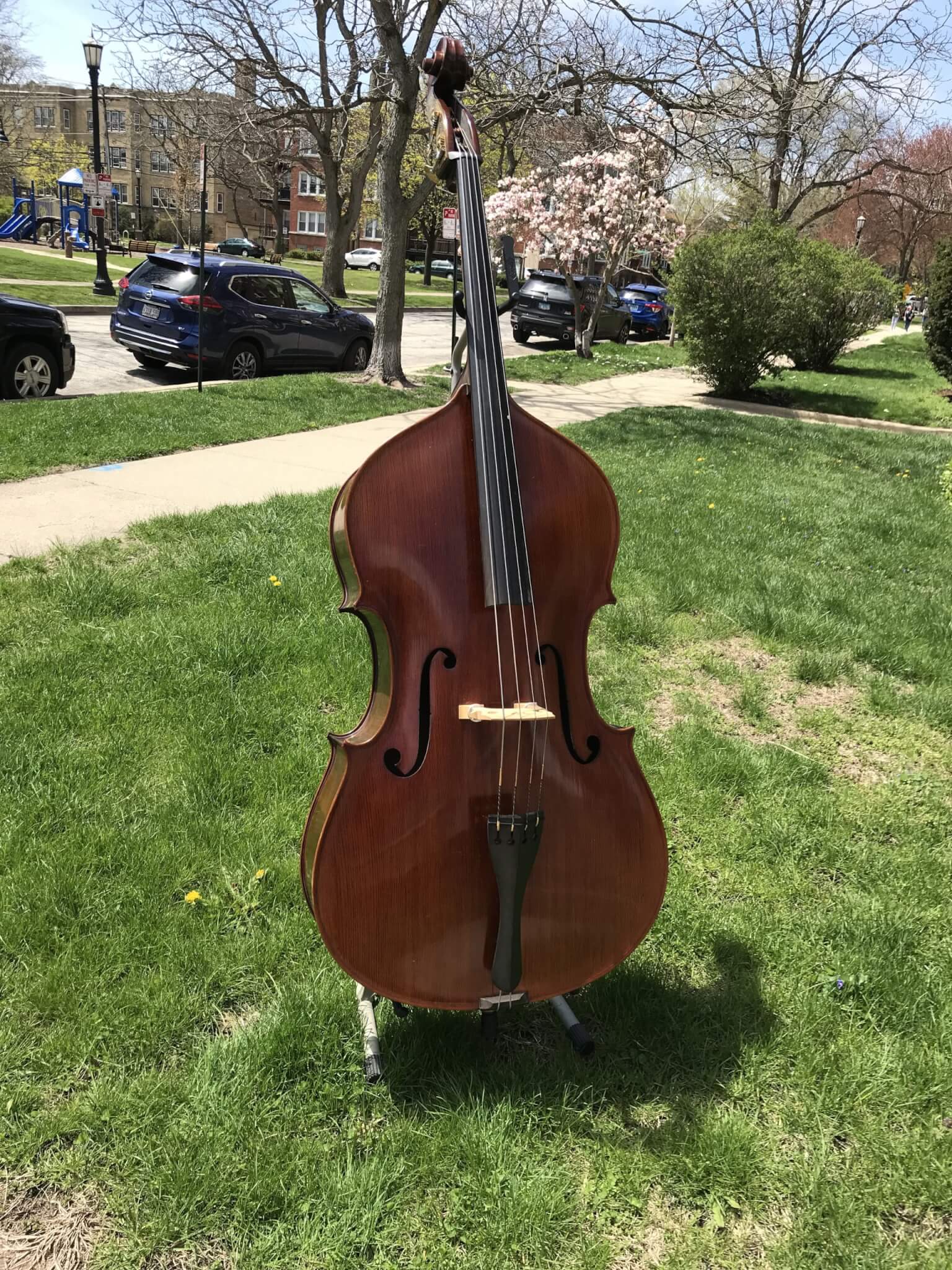 Inventory - SMR double basses